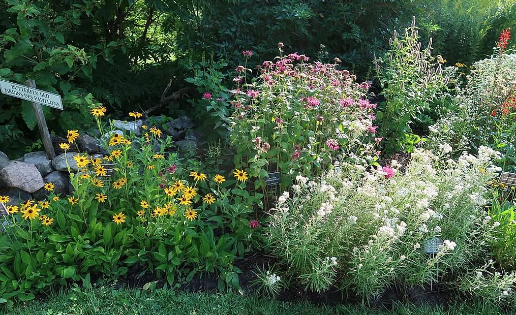 Local seed library hosting free native seed giveaways this fall ...